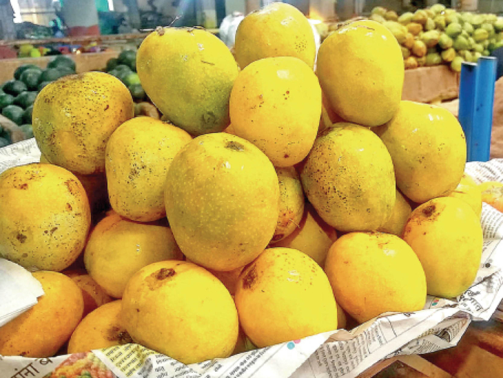 This time in Bhopal the yield is half this year, the mango will come in ...
