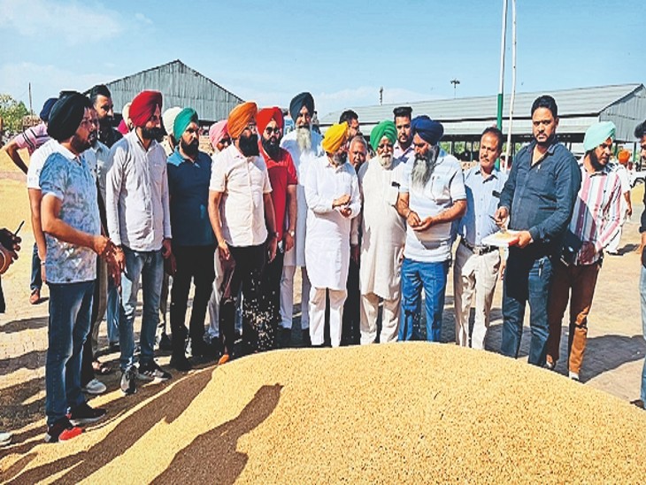 Chairman Jagroop Singh Sekhwan reviewed the procurement of wheat in the ...