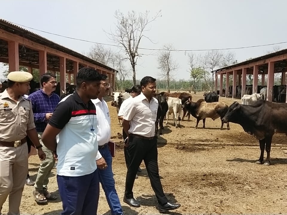 Inspection of straw, green fodder, availability of drinking water and ...