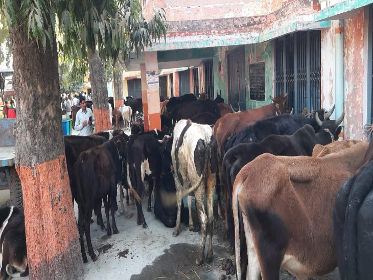 Government and councils are collecting crores of taxes in the name of ...