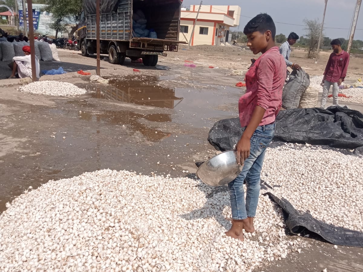 Traders' goods kept in the shed of Piploda sub-market, farmers are ...
