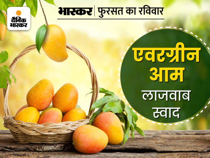 Know the advantages and disadvantages of eating by sucking or biting ...