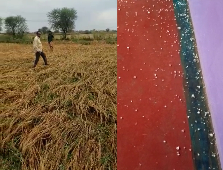Standing crops in hundreds of acres got spoiled, many trees also fell ...