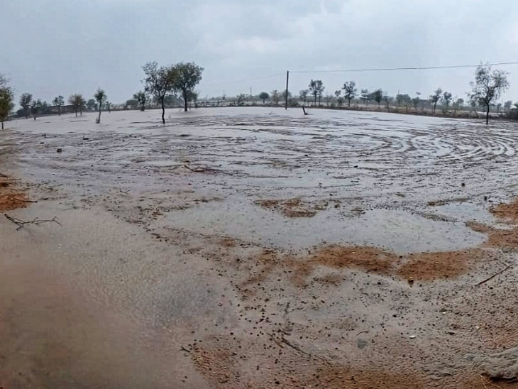 Rajasthan Rain News; Jaipur Jodhpur, Ajmer Weather Forecast Upadte | अगले 24 घंटे में आधे ...