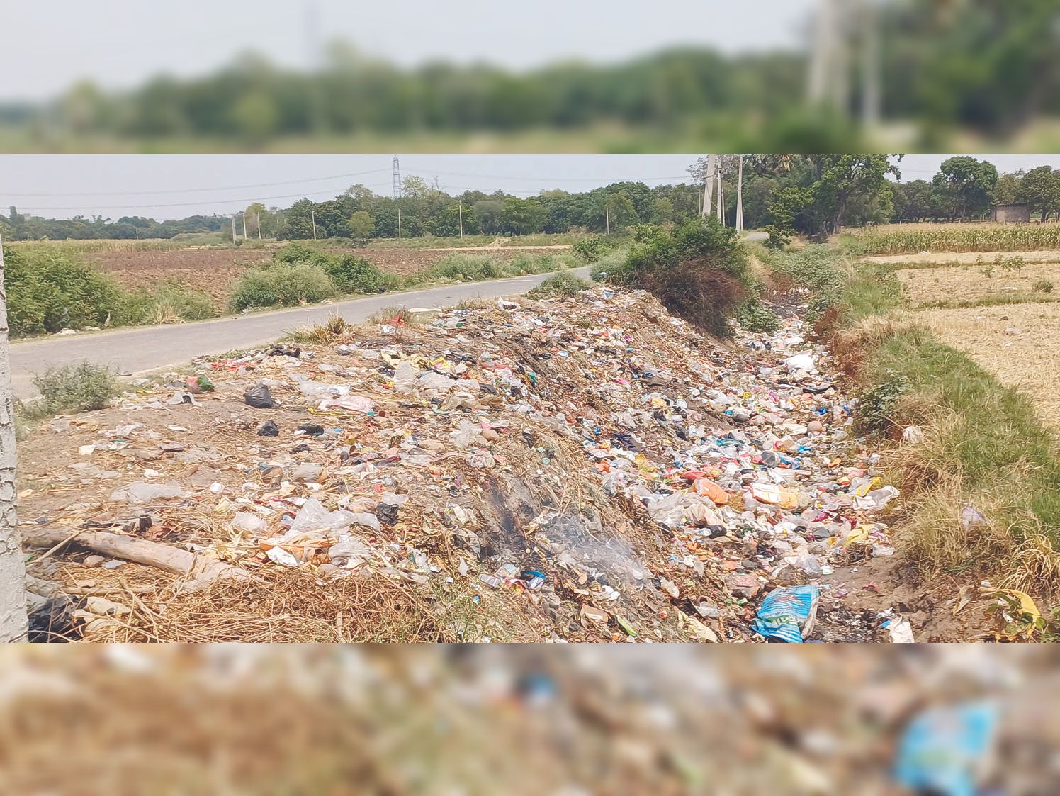 Garbage management failed in the campaign of cleanliness, fire is being ...