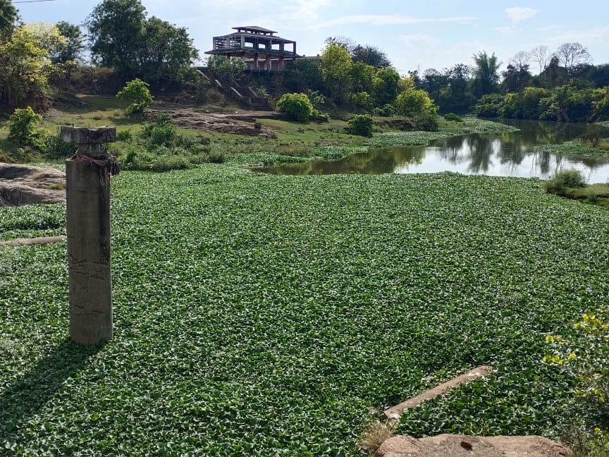आदेश के क्रियान्वयन के लिए समाजसेवियों ने खटखटाया दरवाजा, माचना में फिर ...