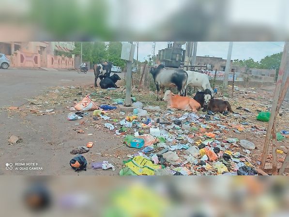 Heaps of garbage in public places even after the strike of the ...