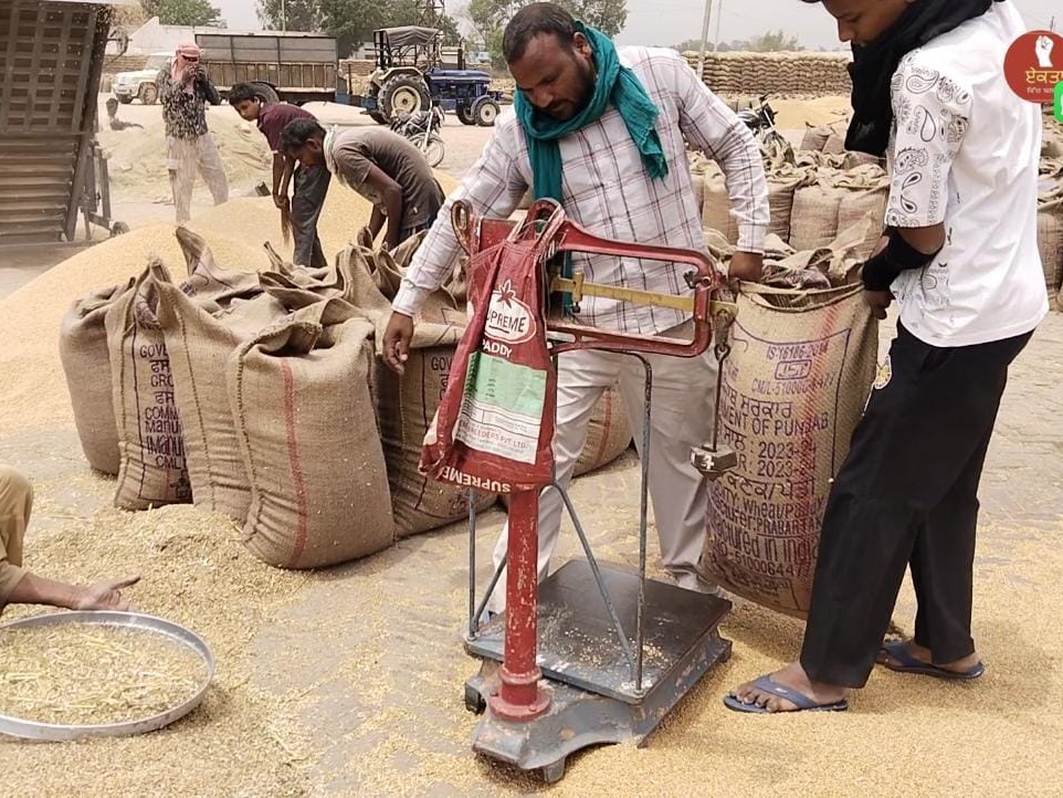 Punjab City Faridkot Firozpur Anaj Mandi Wheat Sale Purchase Record ...