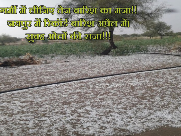 Rajasthan Rainfall Funny Memes; Jokes Goes Viral On Social Media ...