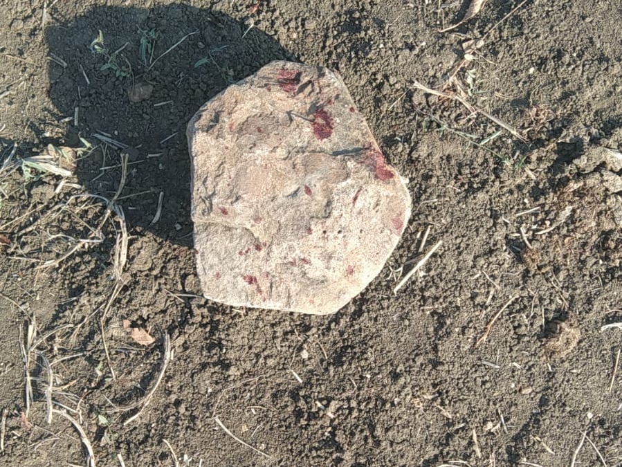 Doctors declared dead, blood and blood-stained stone found on the spot ...