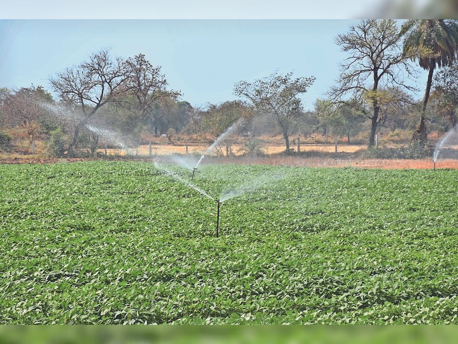 This time promotion of coarse grains in the target of Kharif crop ...