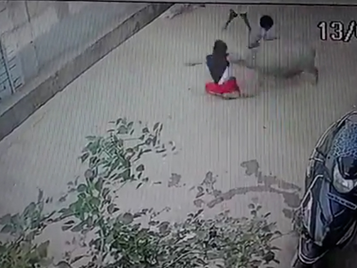 Gujarat Lion Leopard Attack; Two Children Killed In Amroli