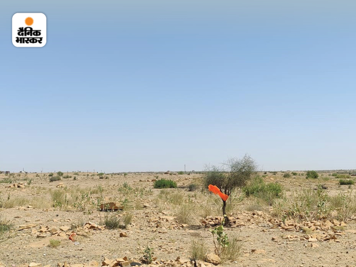 Rajasthan Weather News; Jaipur Jodhpur Phalodi Temperature | Barmer ...