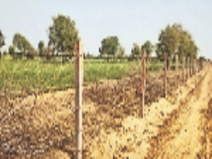 The interest of farmers in the fencing scheme increased, the target was ...