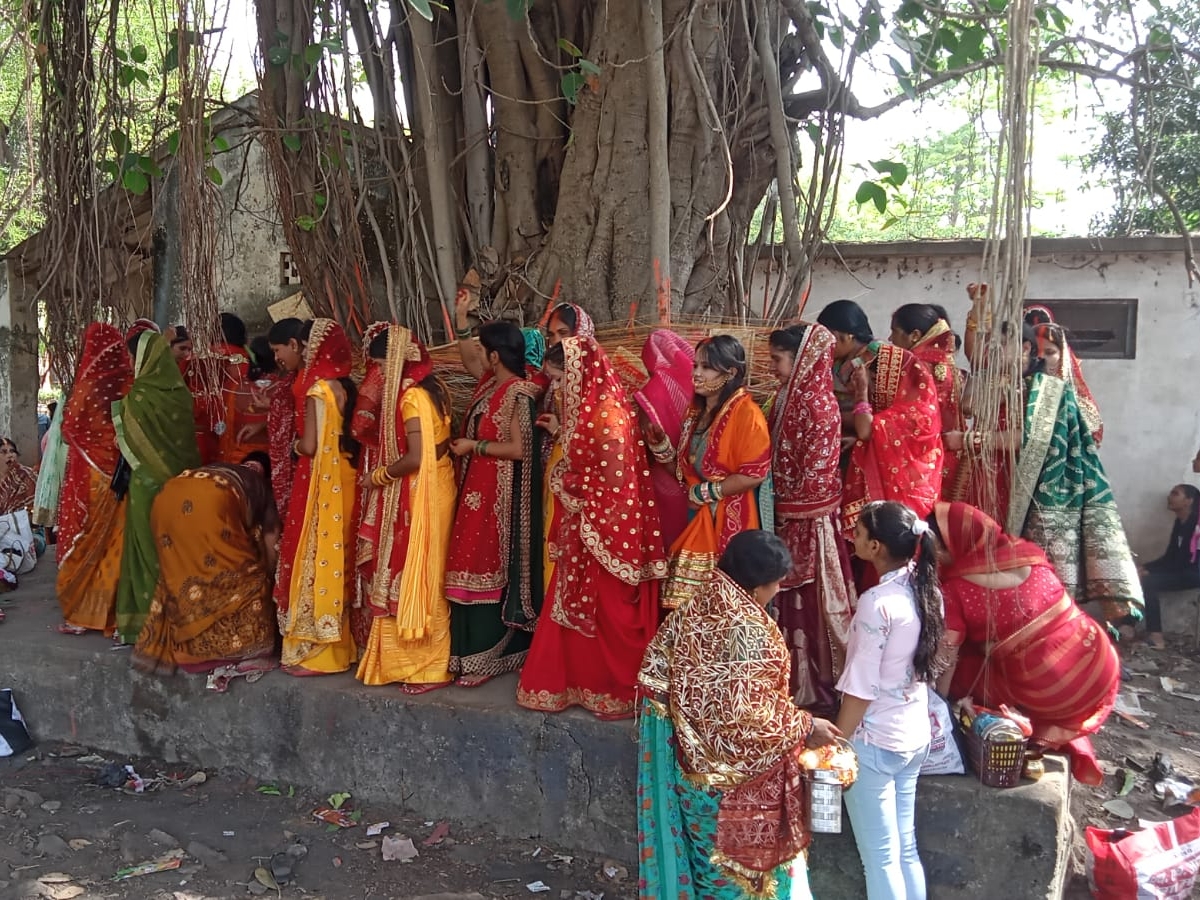 Thousands of women circumambulated the banyan tree and worshiped it ...