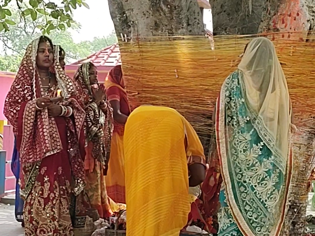 Worship under the banyan tree by law, prayer for unbroken good fortune ...