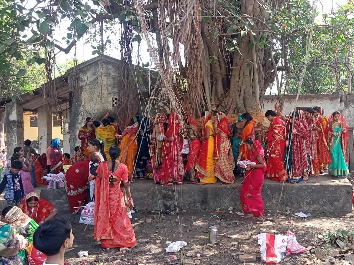 Thousands of women circumambulated the banyan tree and worshiped it ...