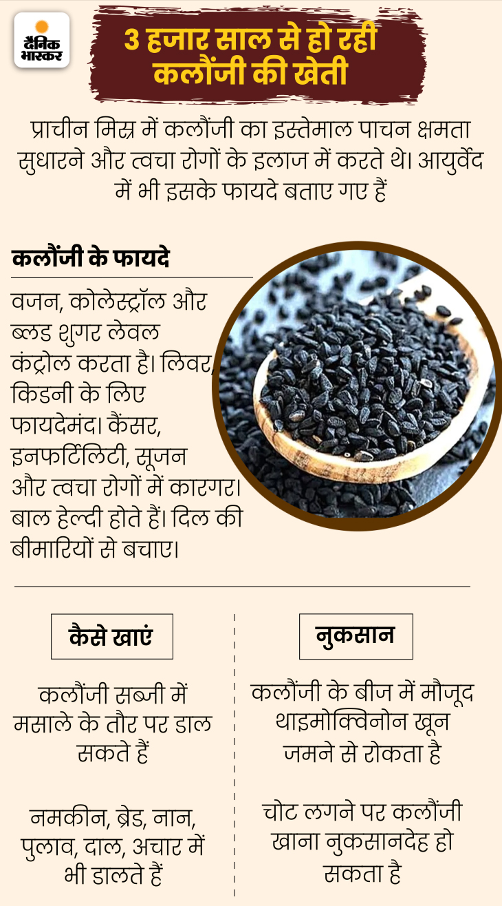 Watermelon Kalonji Ramdana Seeds Benefits; Improve Sperm Quality ...