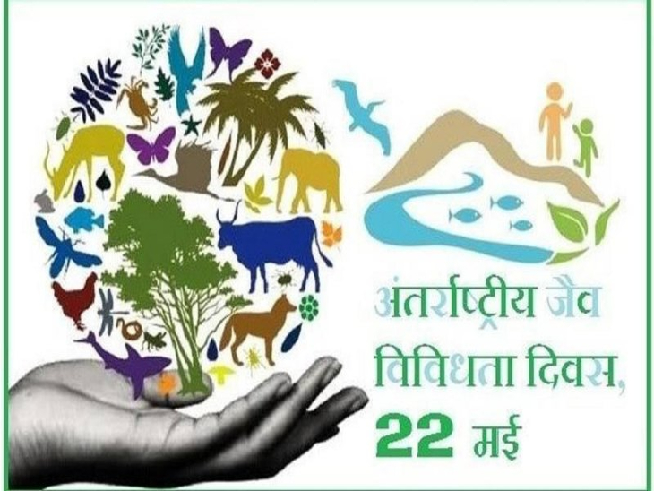 Tax is levied on making products from forest things, only 2500 got the ...