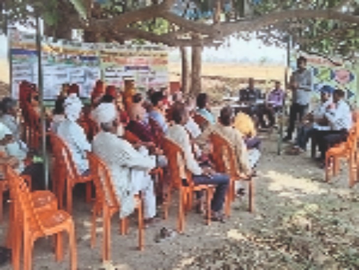 Organic farming is necessary to save soil and human in the district ...