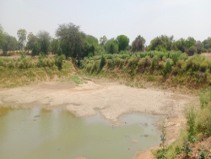 Mr. Minister, irrigation is being done in your area with the water of ...