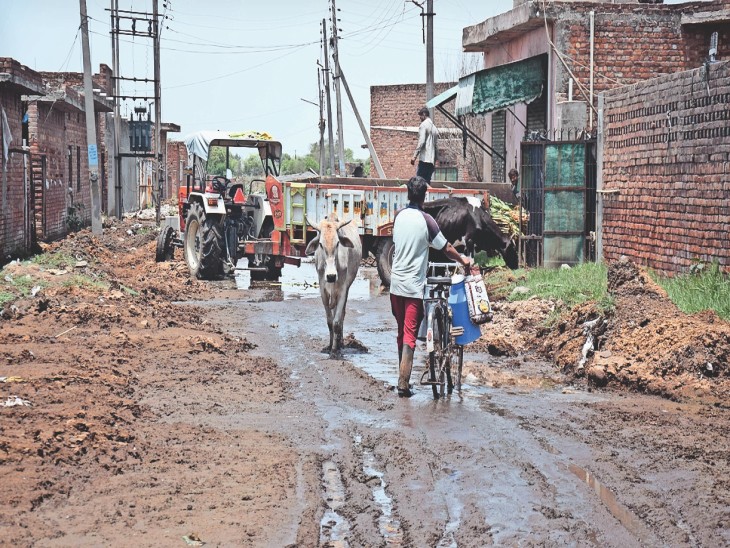 Dairy operators living under the shadow of fear in Khatauli Complex ...
