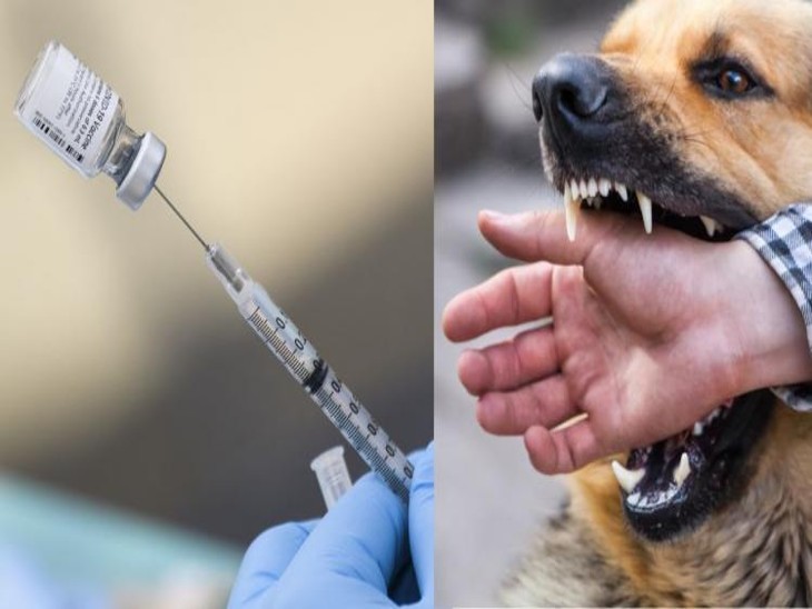 Received 500 anti rabies injections after 7 days, it will last only for ...