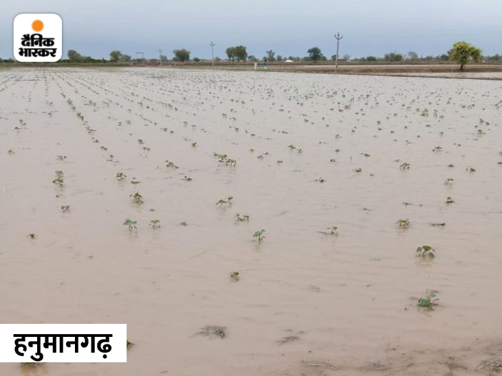 Jaipur (Rajasthan) Weather Update: Heavy Rainfall Alert | Bharatpur Bikaner Ajmer | राजस्थान के ...