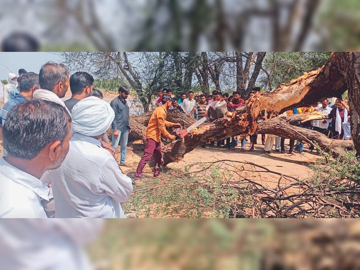 Such a storm came after 18 years, 70 years old trees were also broken ...