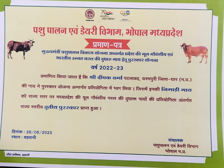 Deepak Verma's Nimari cow got third prize in the competition | गौवंशीय ...