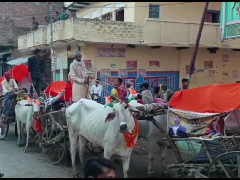 People appreciated, decorated bulls appeared | बैलगाड़ी में सवार होकर ...