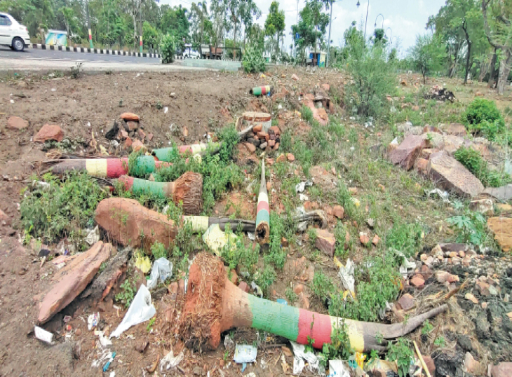 The experiment of planting palm trees on the central verge of Atal Path ...