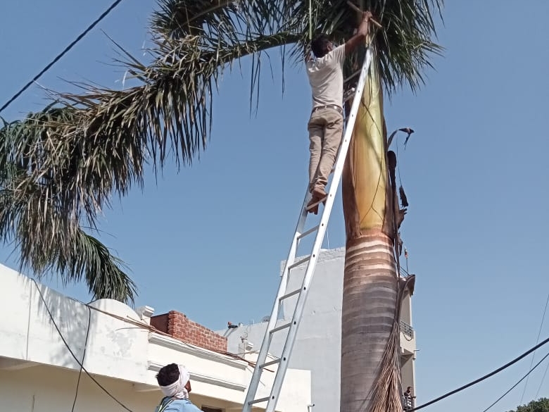 Electricity will remain closed for 6 hours due to maintenance work in 7 ...