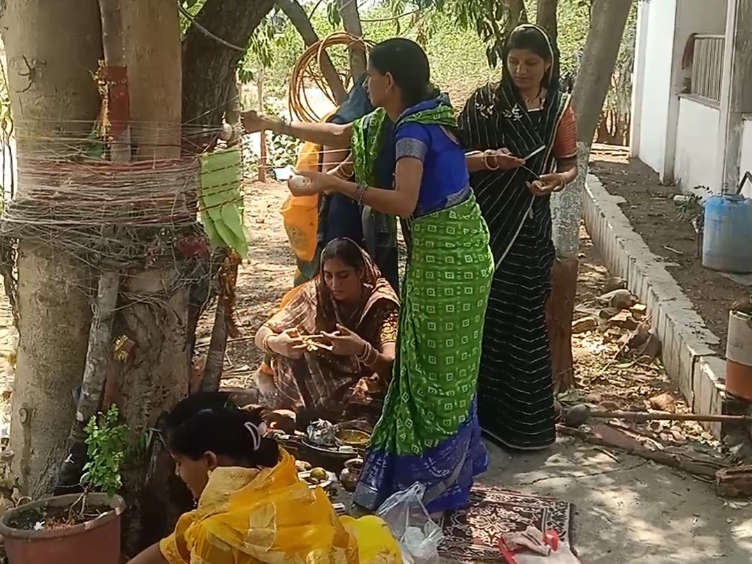 For the long life of the husband, worship of peepal-neem and banyan ...
