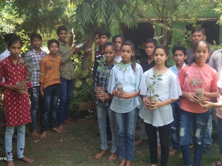 Message to plant trees by planting saplings, appeal to each person to ...