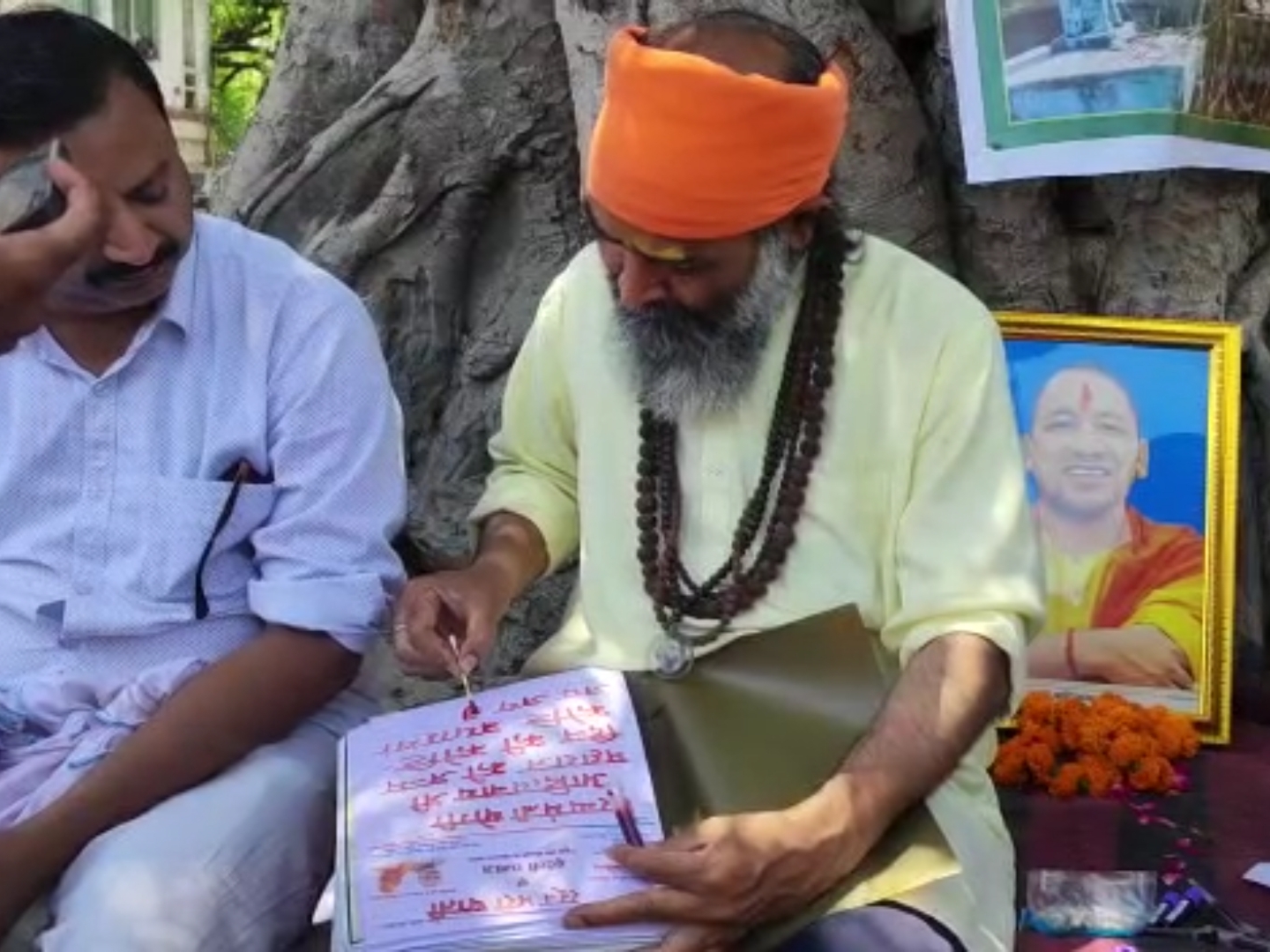 Bundeli society appealed to save the country's only twin Kalp tree of ...