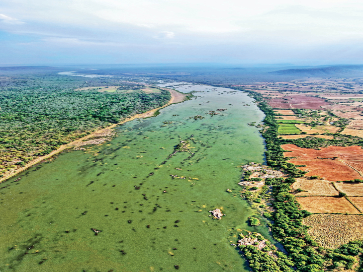 the cleanest Ken River; The water is so clear that the aquatic plants ...