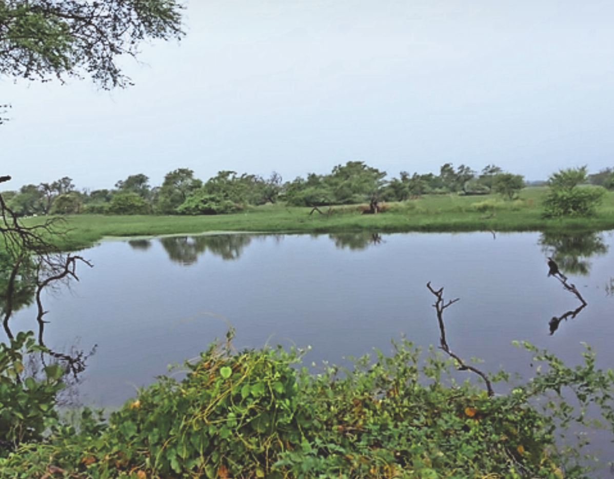 Three new wetlands continued to develop after Ghana, due to which ...