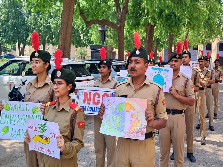 Pledge to protect trees by organizing rallies and conferences | विश्व ...