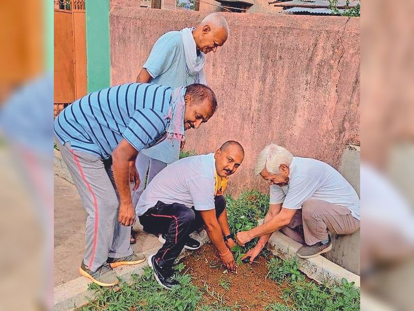 Plantation message given on World Environment Day | पतंजलि भारत ...