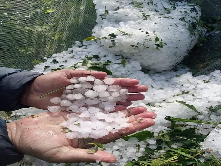 Himachal weather forecast | Hailstorm Shimla | Rain yellow alert ...