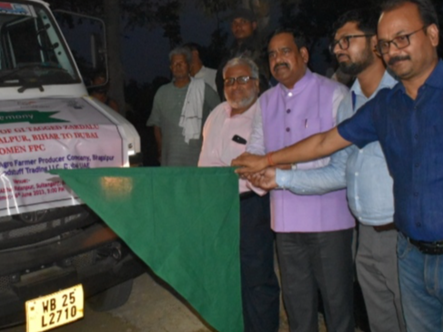 First consignment of Zardalu mango sent from Bhagalpur to Dubai, will ...
