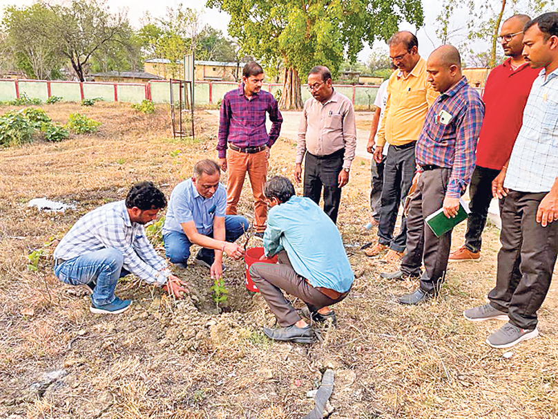 Saplings planted on World Environment Day in Agriculture College, many ...