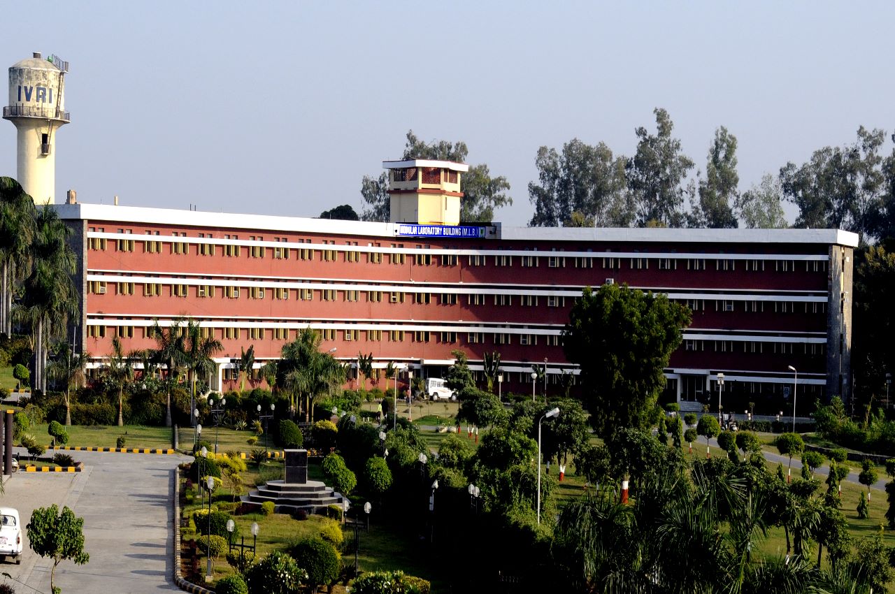 Dr. Triveni Dutt, director of IVRI said – Breeds of animals that ...