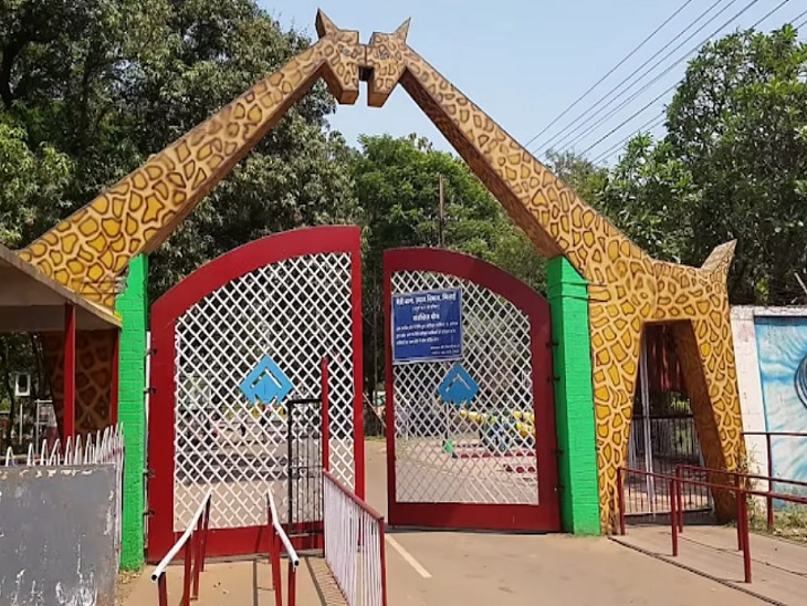 New guests will come soon, preparations are being made to bring new ...