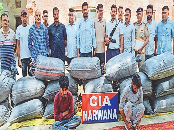 3 quintals 20 kg doda poppy recovered from the canter bringing onions ...