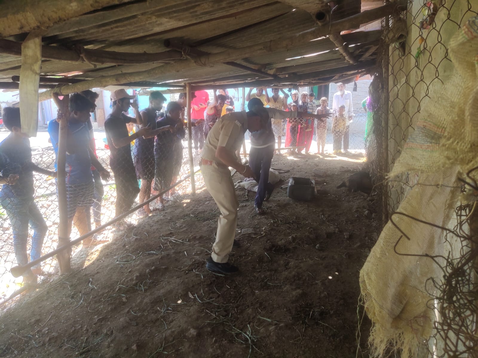 Leopard targeted 11 goats, took the child by pressing it in the mouth ...