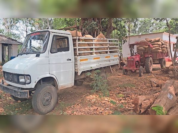 Two vehicles carrying illegal tendu leaves in 100 sacks seized in Bhandaria, three arrested ...