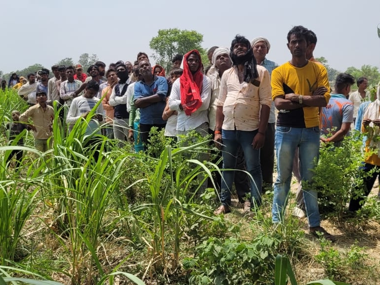 Dead body found hanging from rosewood tree in sugarcane field, police engaged in investigation ...