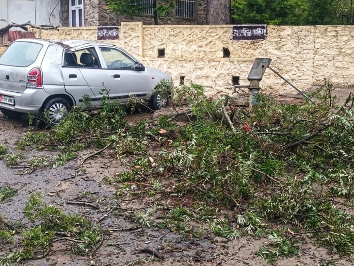 Effect of Biparjoy storm, car damaged due to falling tree | माउंट आबू ...